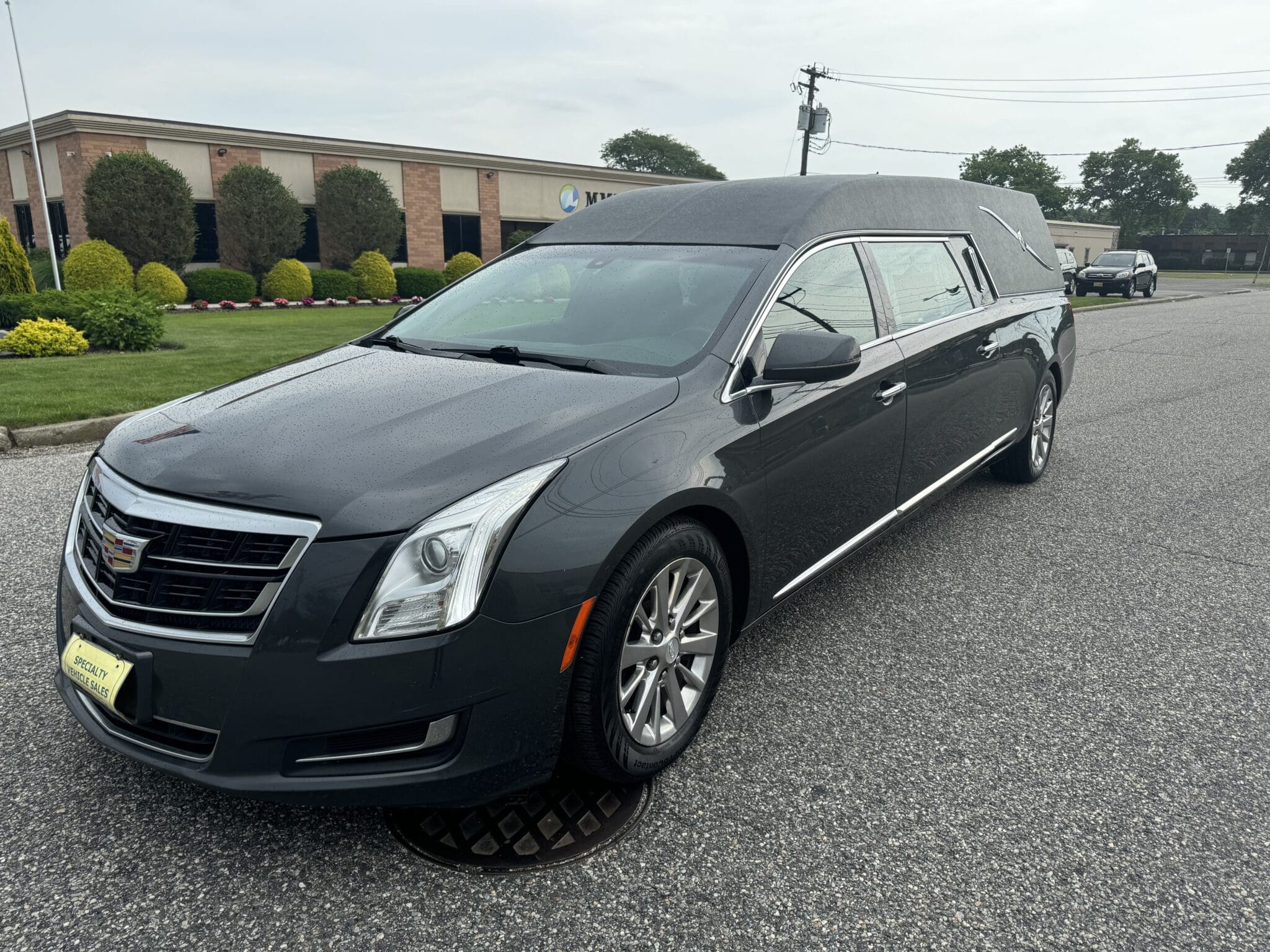 Specialty Hearse - Specialty Hearse
